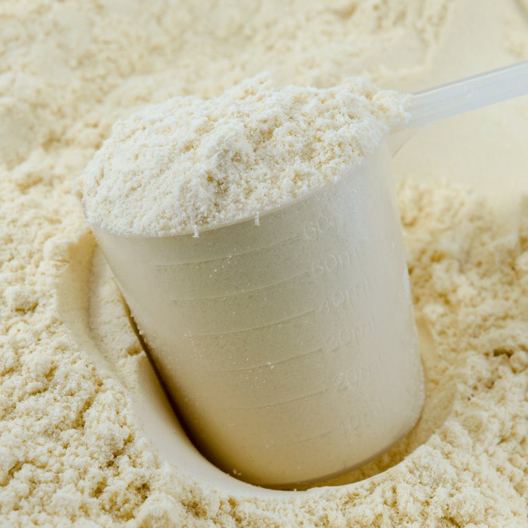 Whey Protein Concentrate 80% (WPC 80) | Whey powders - Foodcom S.A. Whey Protein Concentrate 80% (WPC 80) | Whey powders - Foodcom S.A.