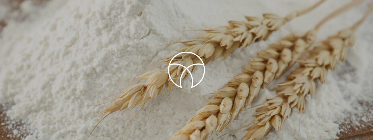 Modified starches types and applications in industry | Foodcom S.A.