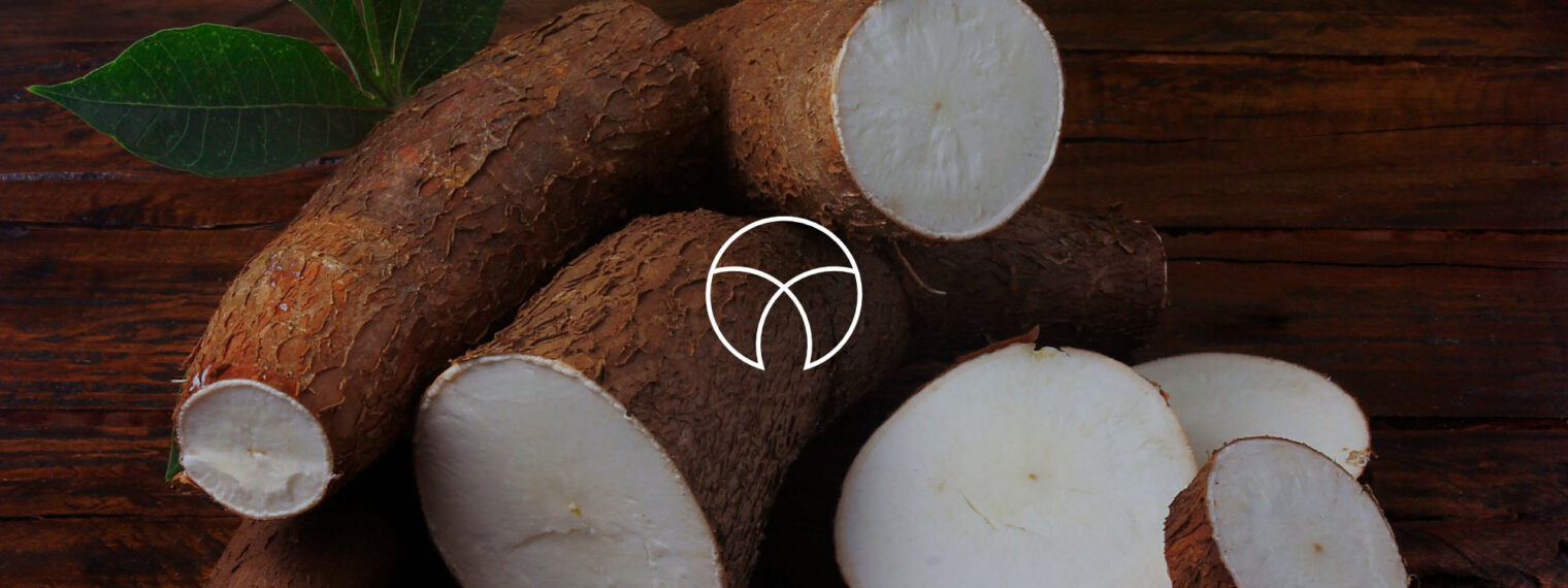 Modified Tapioca Starch vs modified cassava starch: what’s the ...