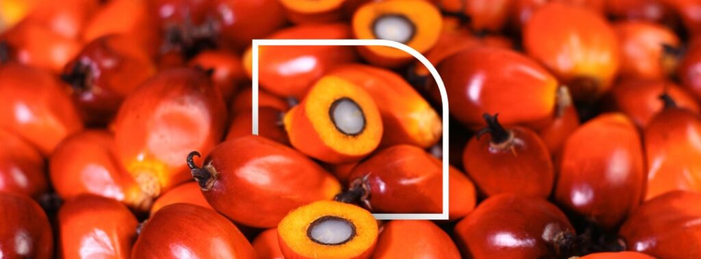 Use palm kernel oil and palm oil in food, cosmetics and more | Foodcom