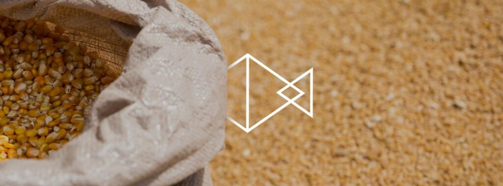 Distillers Grains - overview. What is DDGS used for?