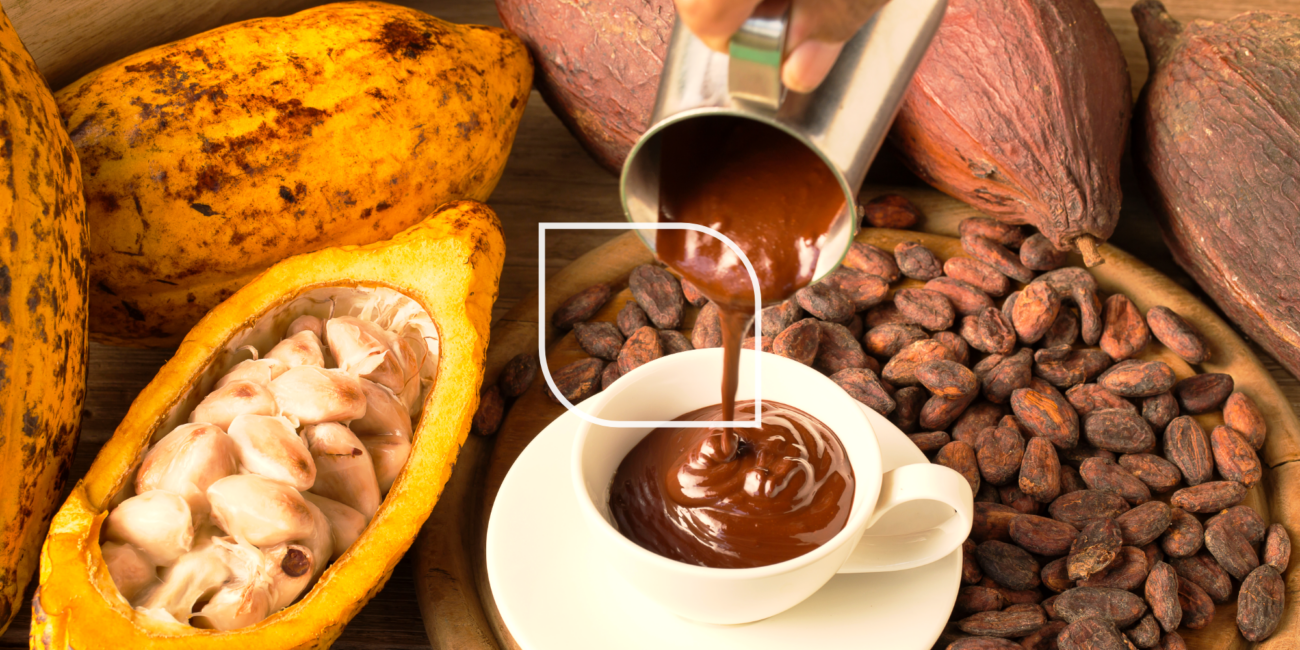 Cacao en pasta - ¿Qué es y dónde se utiliza? | Foodcom S.A.