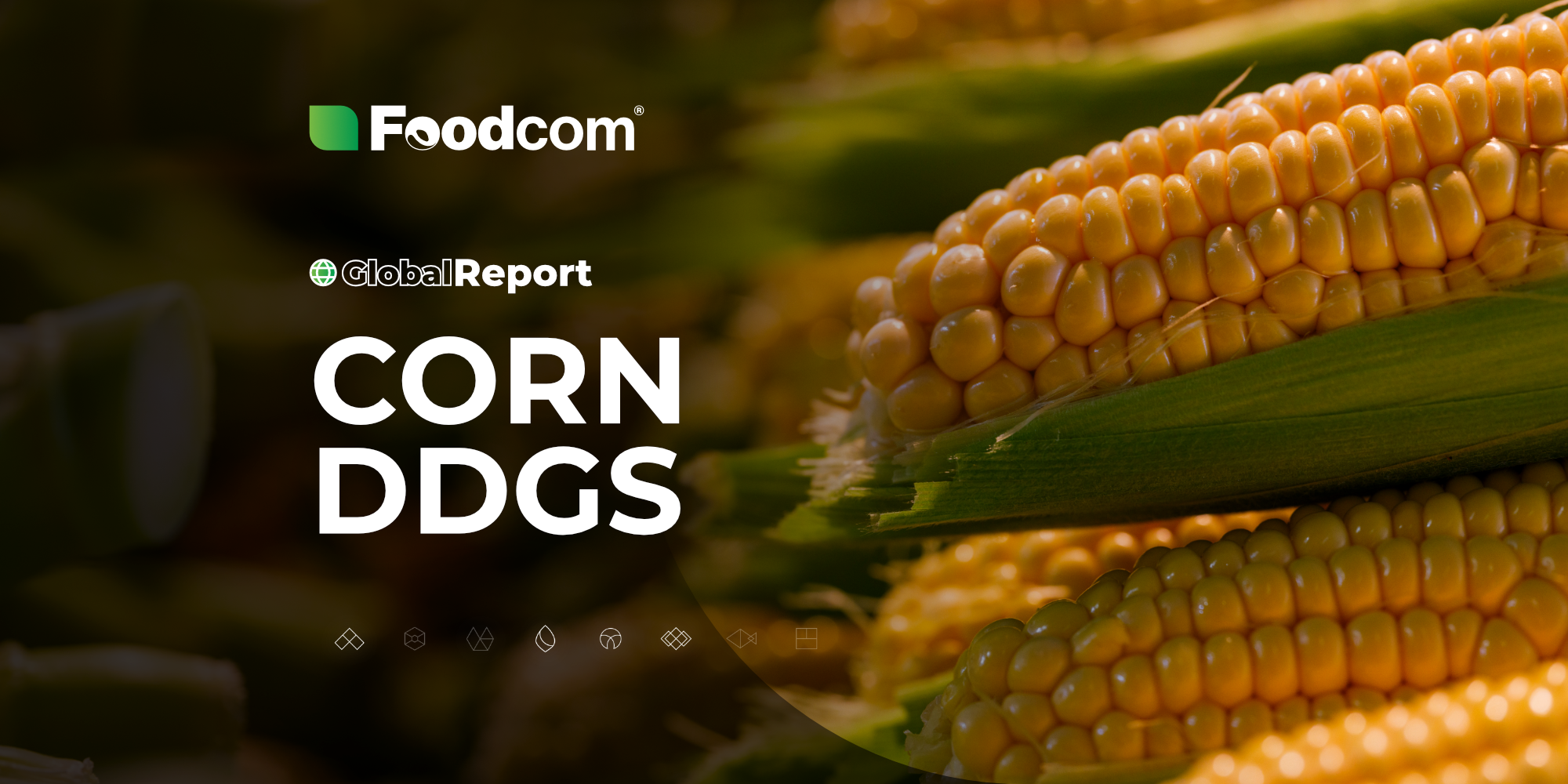 DDGS maize market in 2025 - market dynamics, analysis | Global Report | Foodcom S.A.
