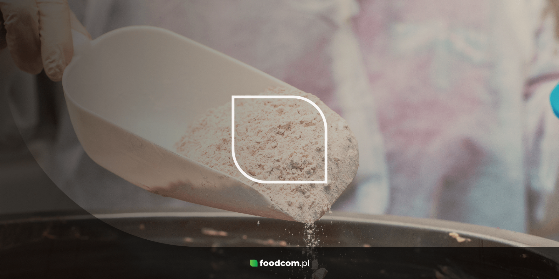 Goma guar - propiedades, usos y mercado | Foodcom S.A.