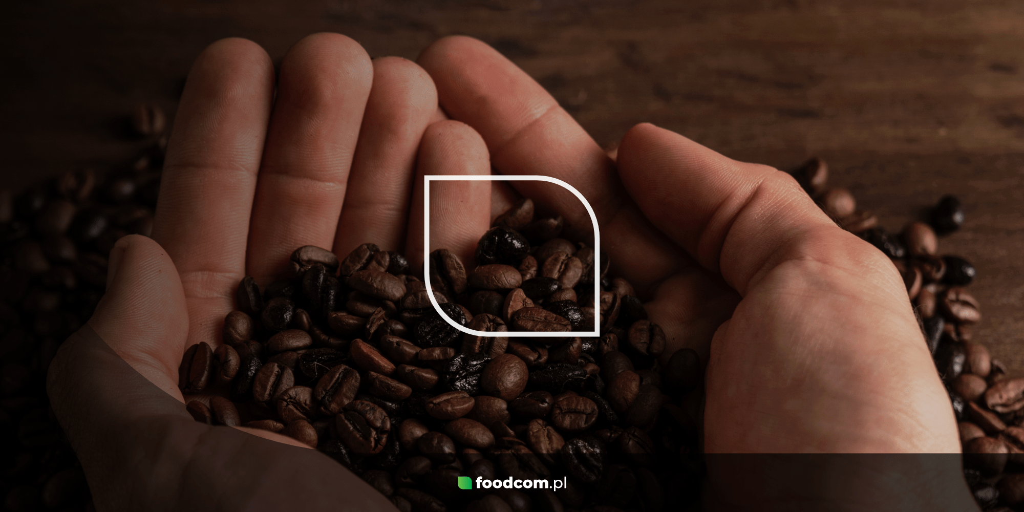 Najpopularniejsze rodzaje kaw ziarnistych i ich właściwości | Foodcom S.A.