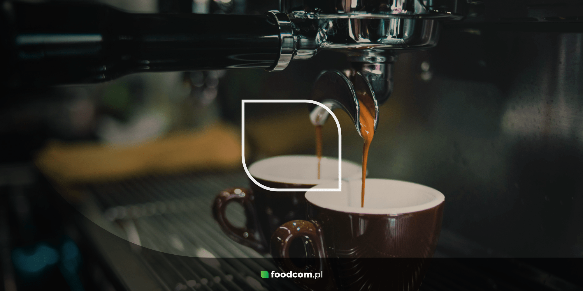 Różnicę między arabicą a robustą | Foodcom S.A.