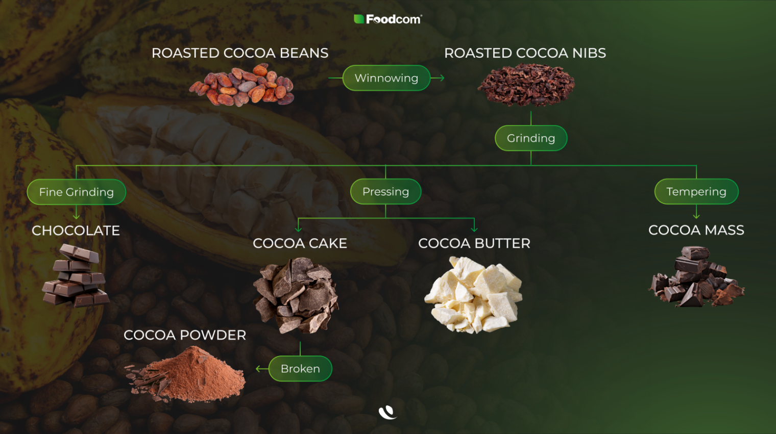 How is chocolate made? From the bean to the dessert | Foodcom S.A.