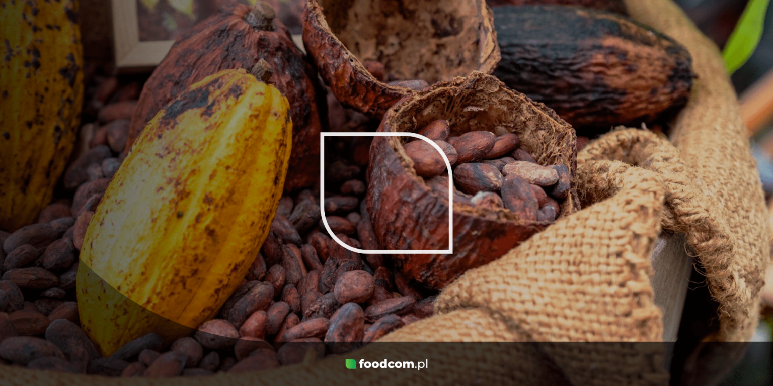 What are the different types of cocoa and how do they differ? | Foodcom ...
