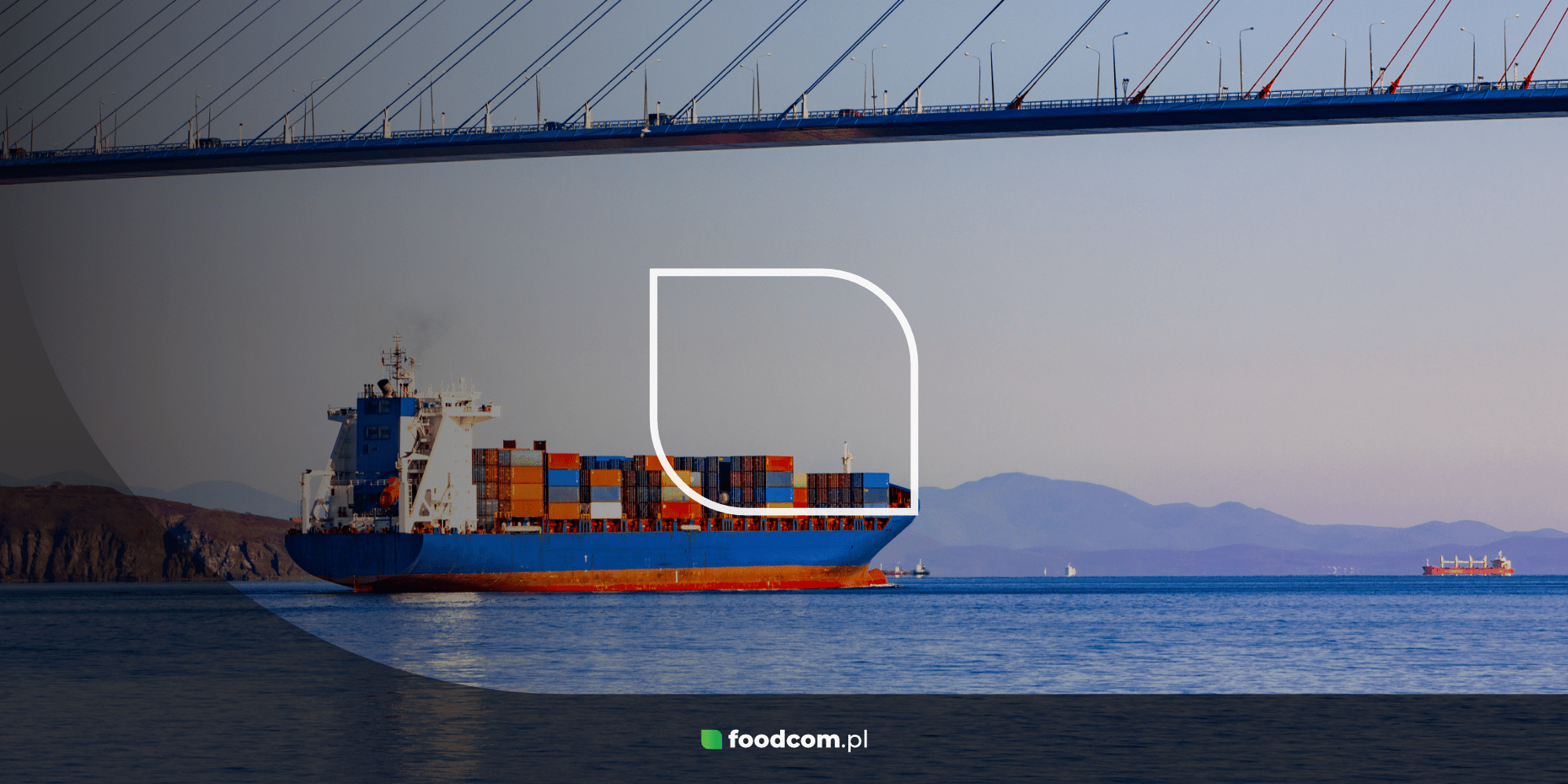 Maritime transportation - climate impact and challenges | Foodcom S.A.