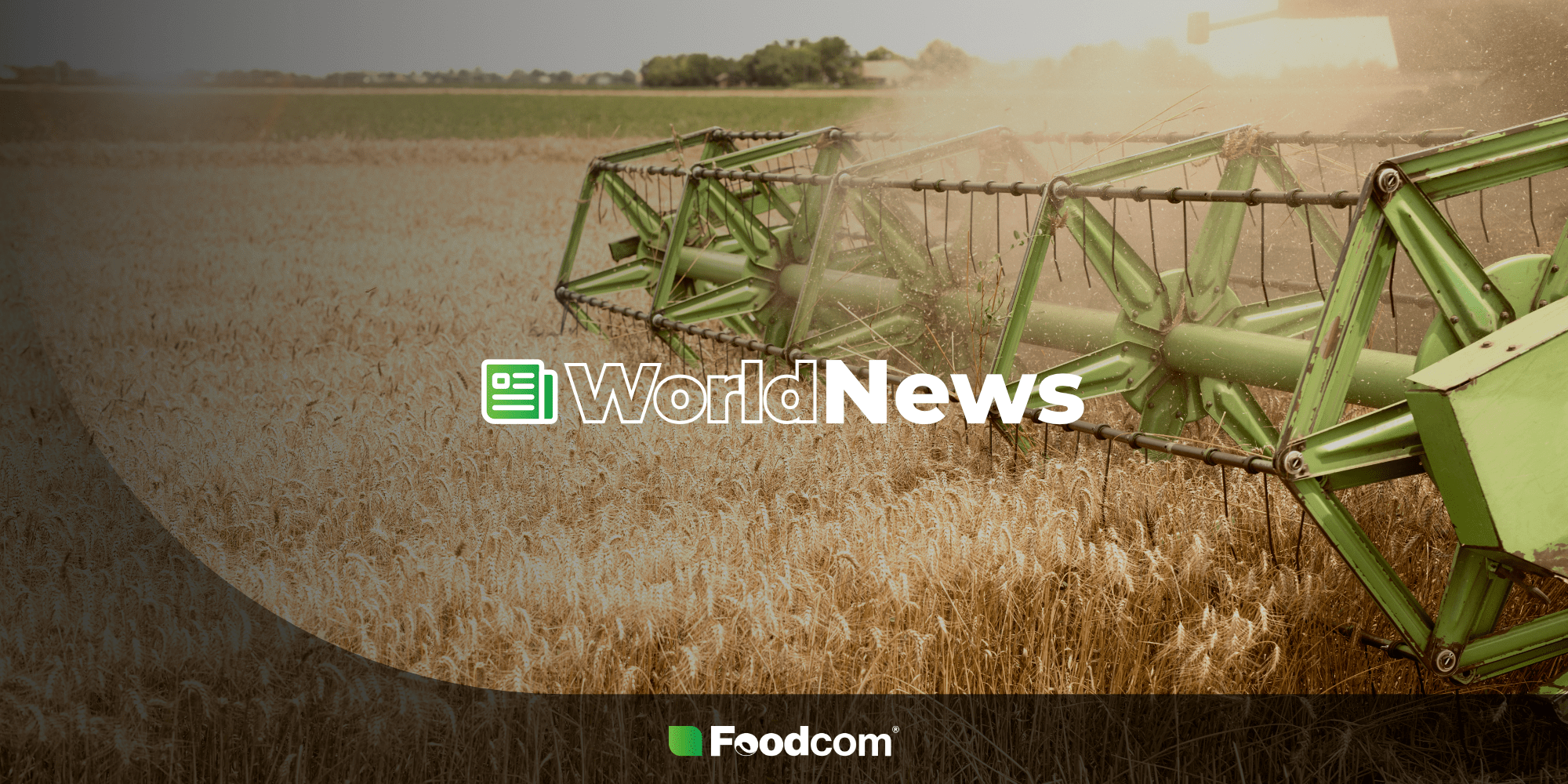Russia cuts flax and corn exports | World News | Foodcom S.A.