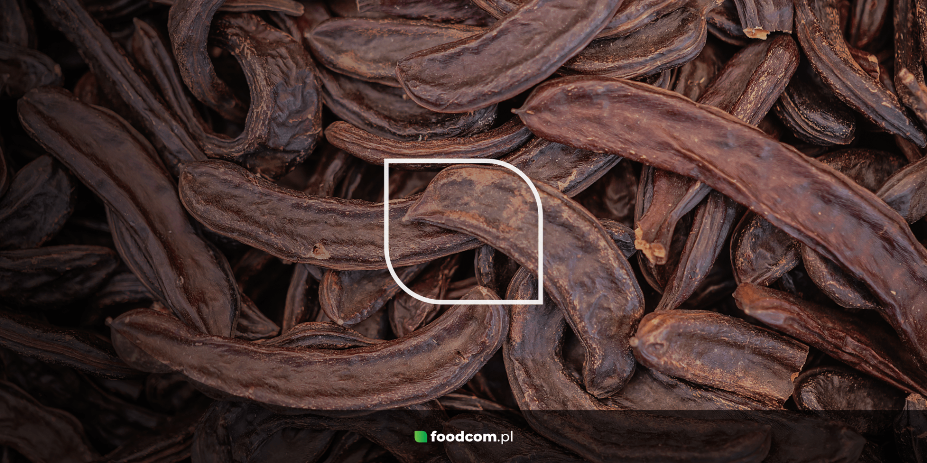 Carob - what is it and what is it used for? | Foodcom S.A.