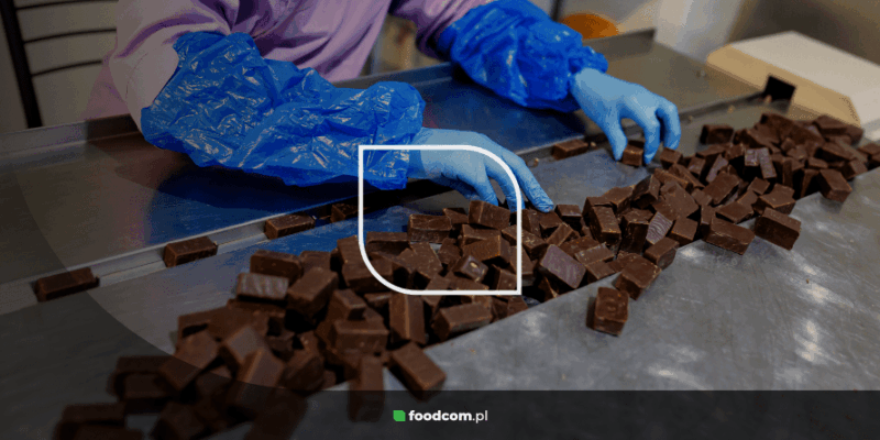 Chocolate - what is it made of and how is it produced? | Foodcom S.A.